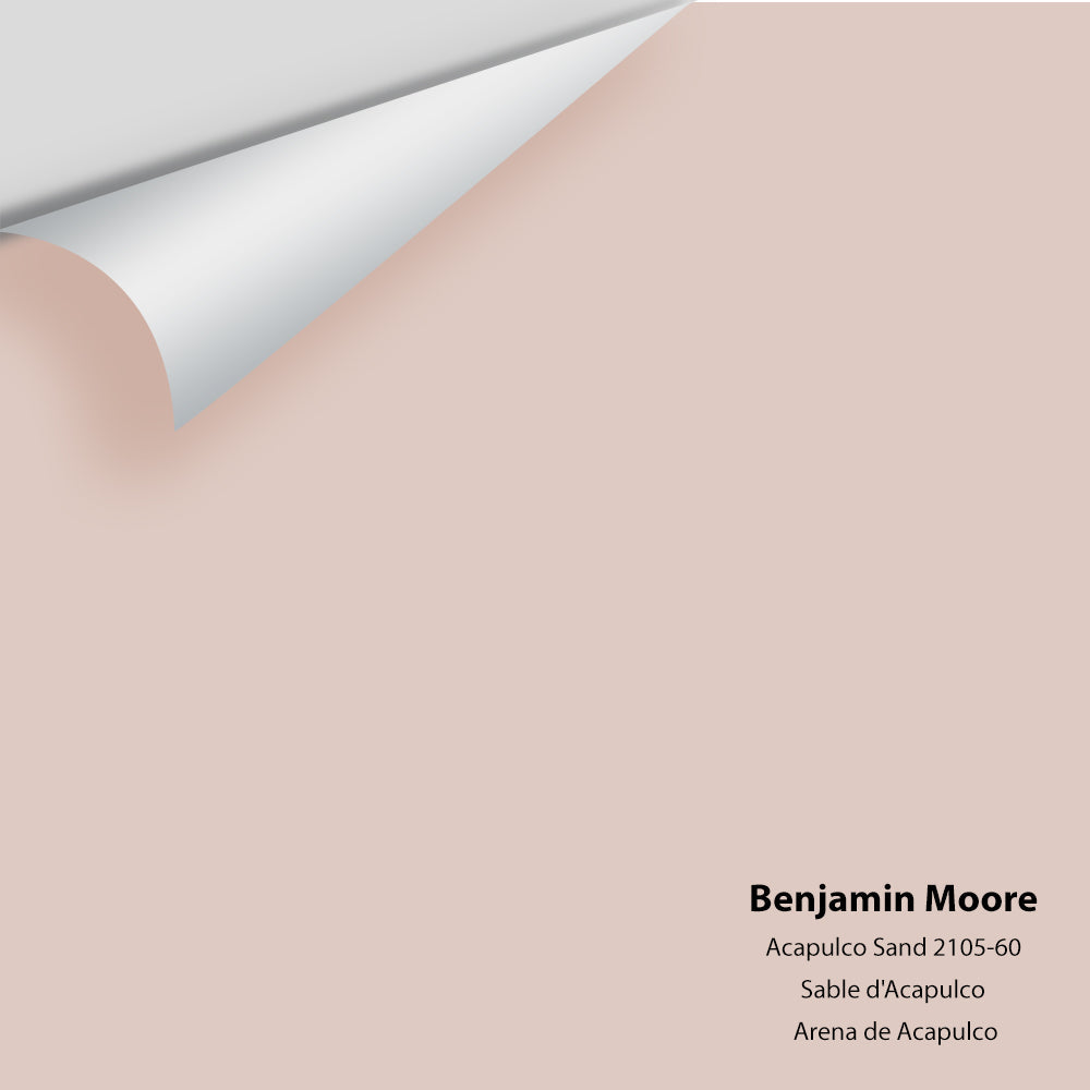 Big Paint Chip - Acapulco Sand 2105-60 – Centerpoint Paint and Decorating