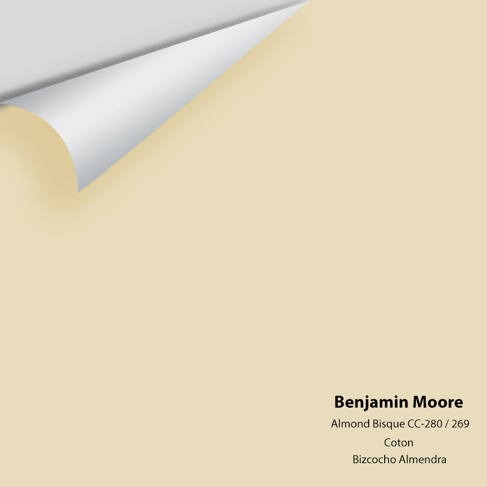Big Paint Chip - Almond Bisque 269 / CC-280 Colour Sample – Centerpoint ...
