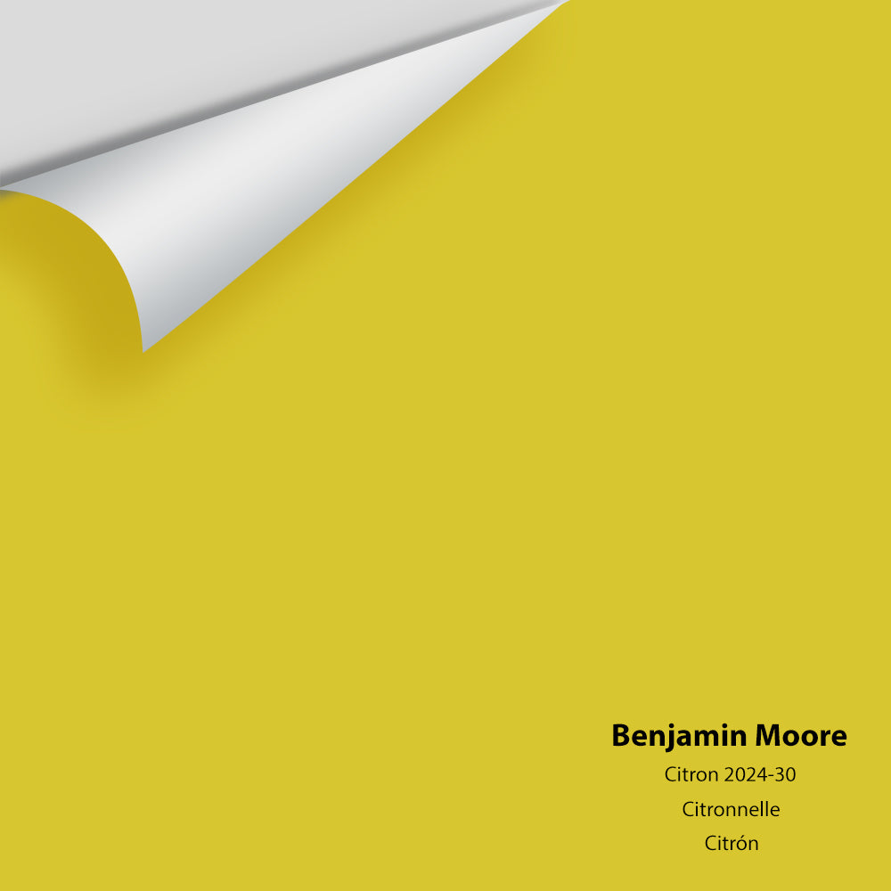 Big Paint Chip - Citron 2024-30 – Centerpoint Paint and Decorating