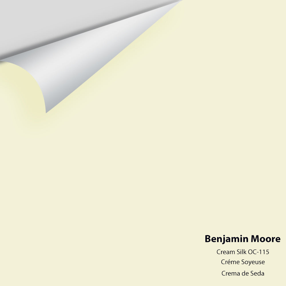 Big Paint Chip - Cream Silk 2146-60 / OC-115 – Centerpoint Paint and ...