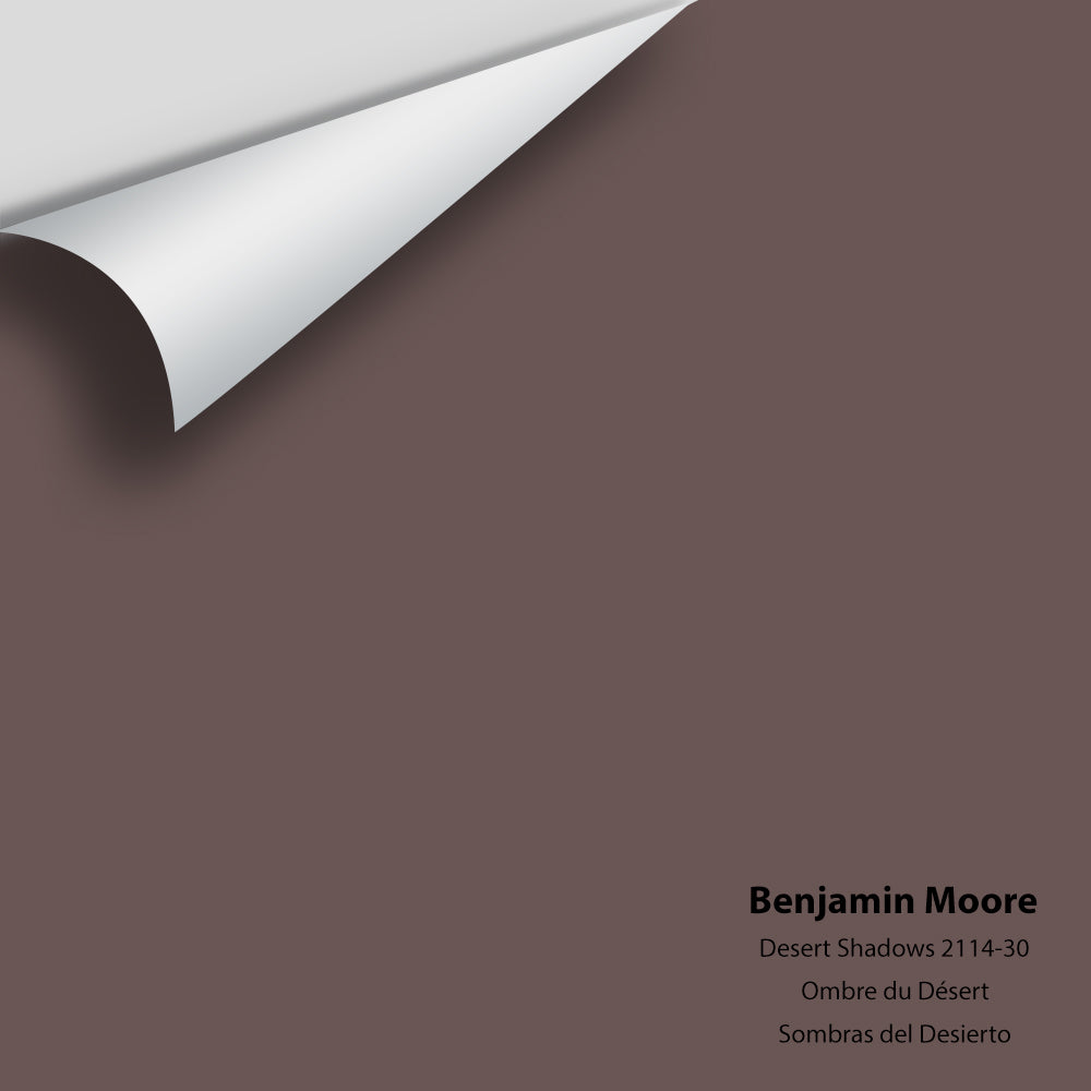 Big Paint Chip - Desert Shadows 2114-30 – Centerpoint Paint and Decorating