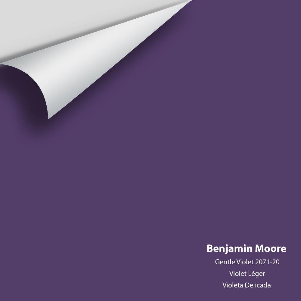Big Paint Chip - Gentle Violet 2071-20 – Centerpoint Paint and Decorating