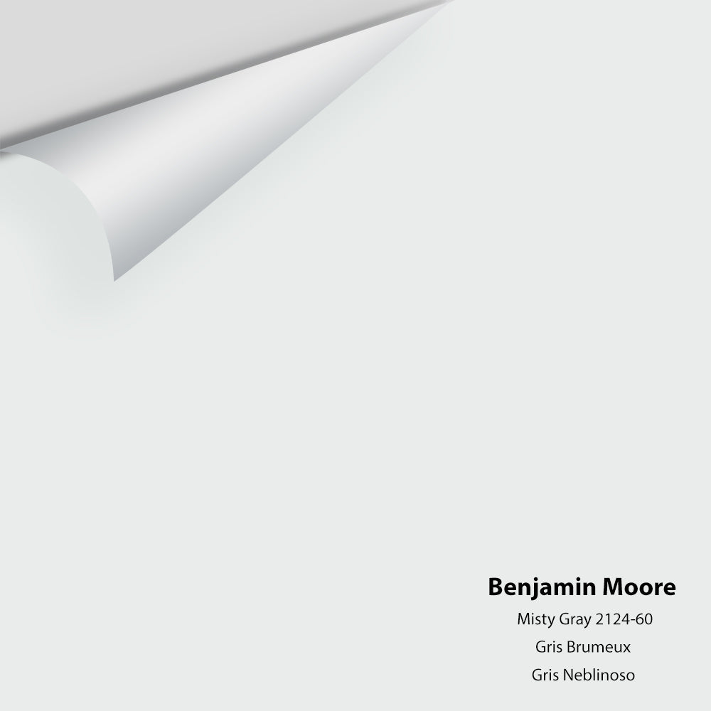 Benjamin Moore - Misty Gray 2124-60 Colour Sample – Centerpoint Paint ...