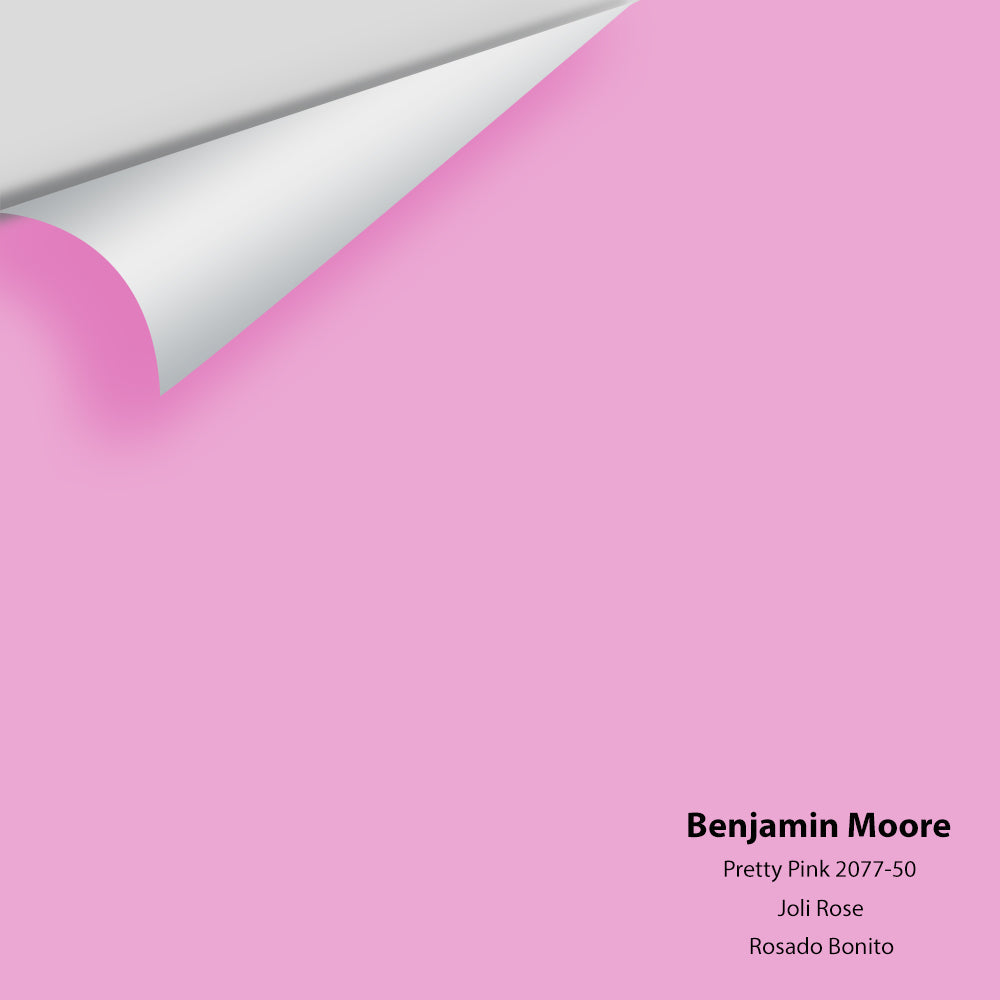 Big Paint Chip - Pretty Pink 2077-50 – Centerpoint Paint and Decorating