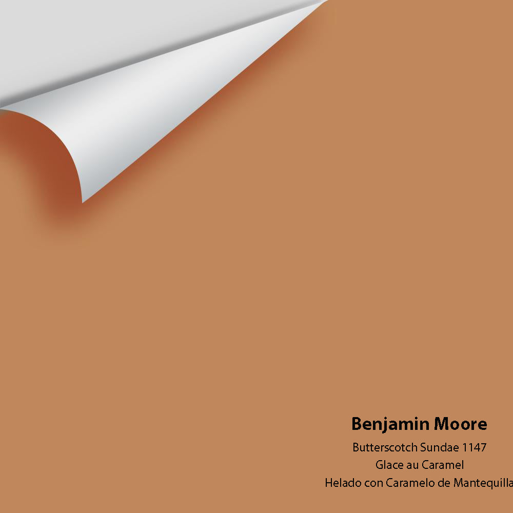 Big Paint Chip - Butterscotch Sundae 1147 – Centerpoint Paint and ...