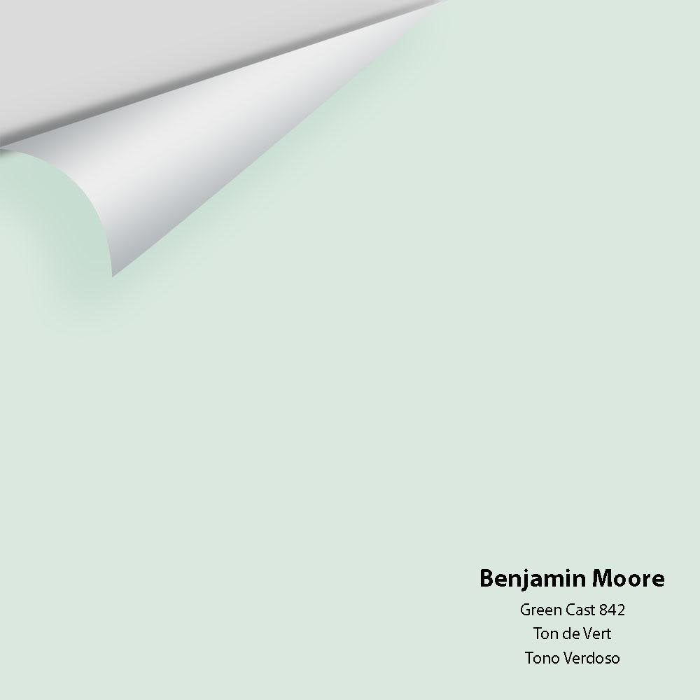Big Paint Chip - Green Cast 842 – Centerpoint Paint and Decorating