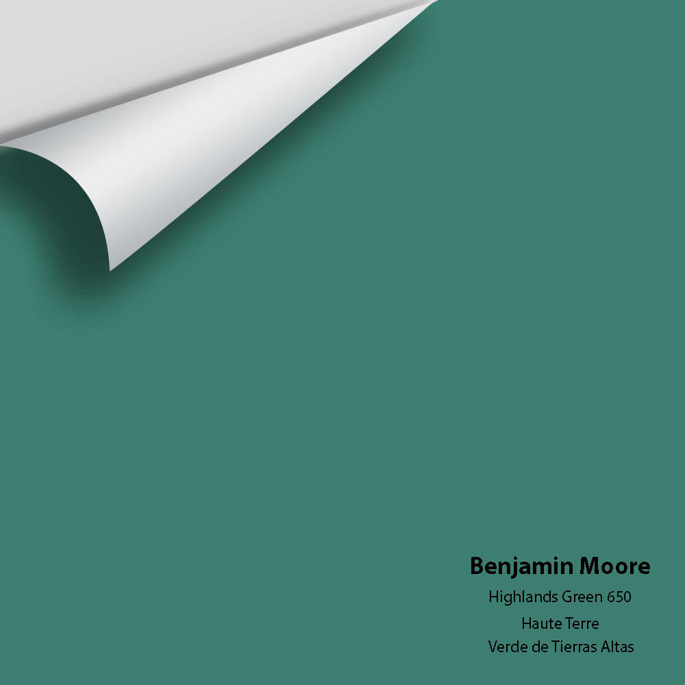 Big Paint Chip - Highlands Green 650 – Centerpoint Paint and Decorating