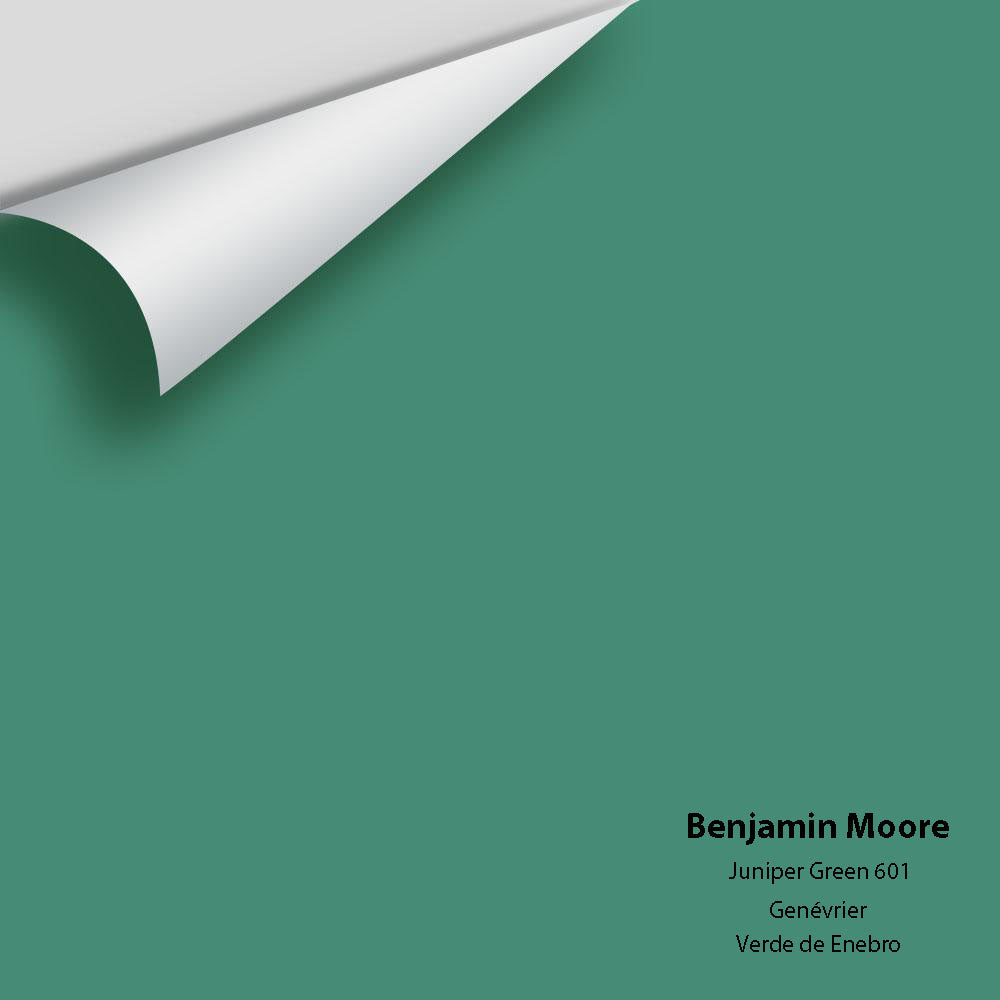 Big Paint Chip - Juniper Green 601 – Centerpoint Paint and Decorating