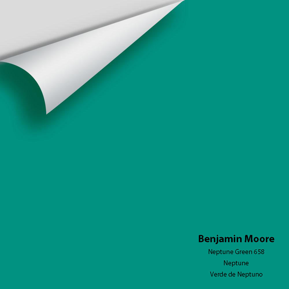 Big Paint Chip - Neptune Green 658 – Centerpoint Paint and Decorating