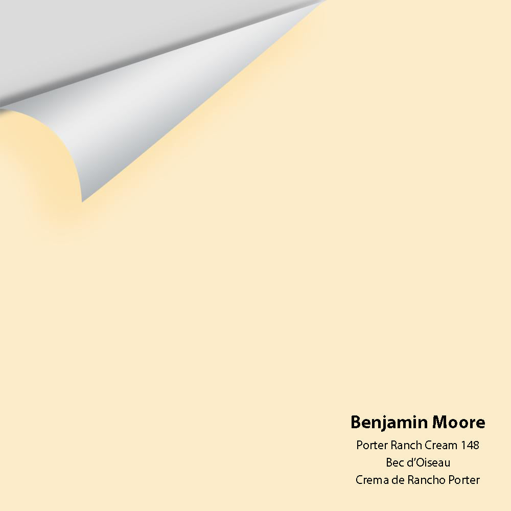 Big Paint Chip - Porter Ranch Cream 148 – Centerpoint Paint and Decorating