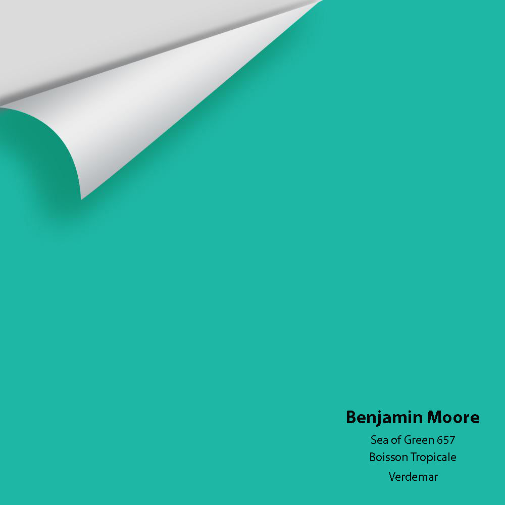 Big Paint Chip - Sea of Green 657 – Centerpoint Paint and Decorating