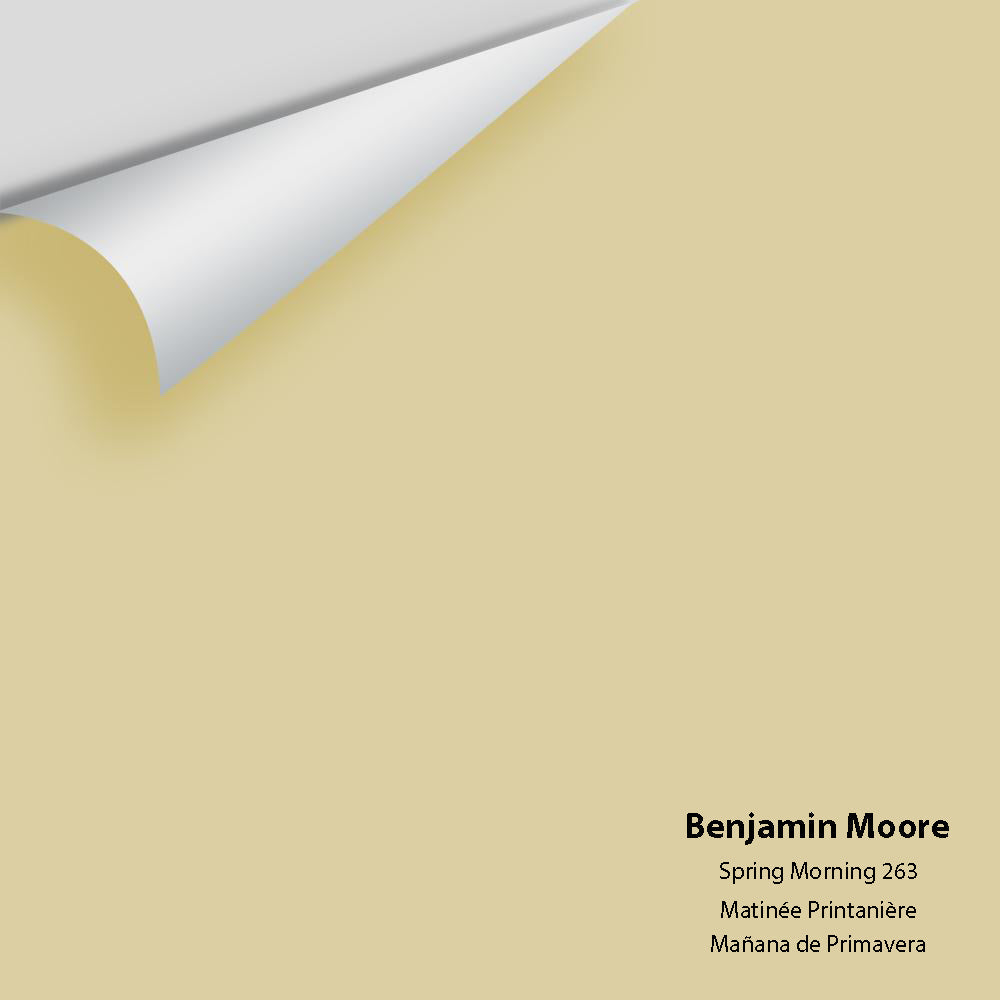 Big Paint Chip - Spring Morning 263 – Centerpoint Paint and Decorating