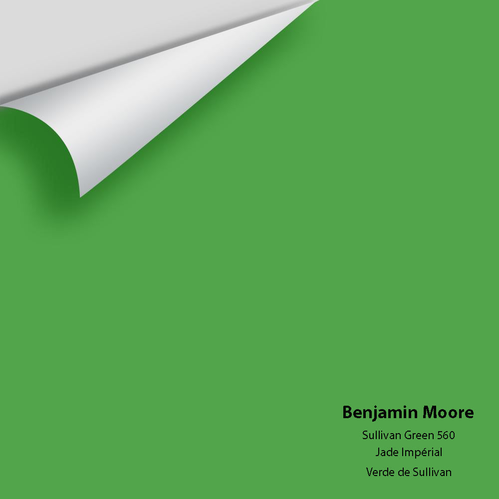 Big Paint Chip - Sullivan Green 560 – Centerpoint Paint and Decorating