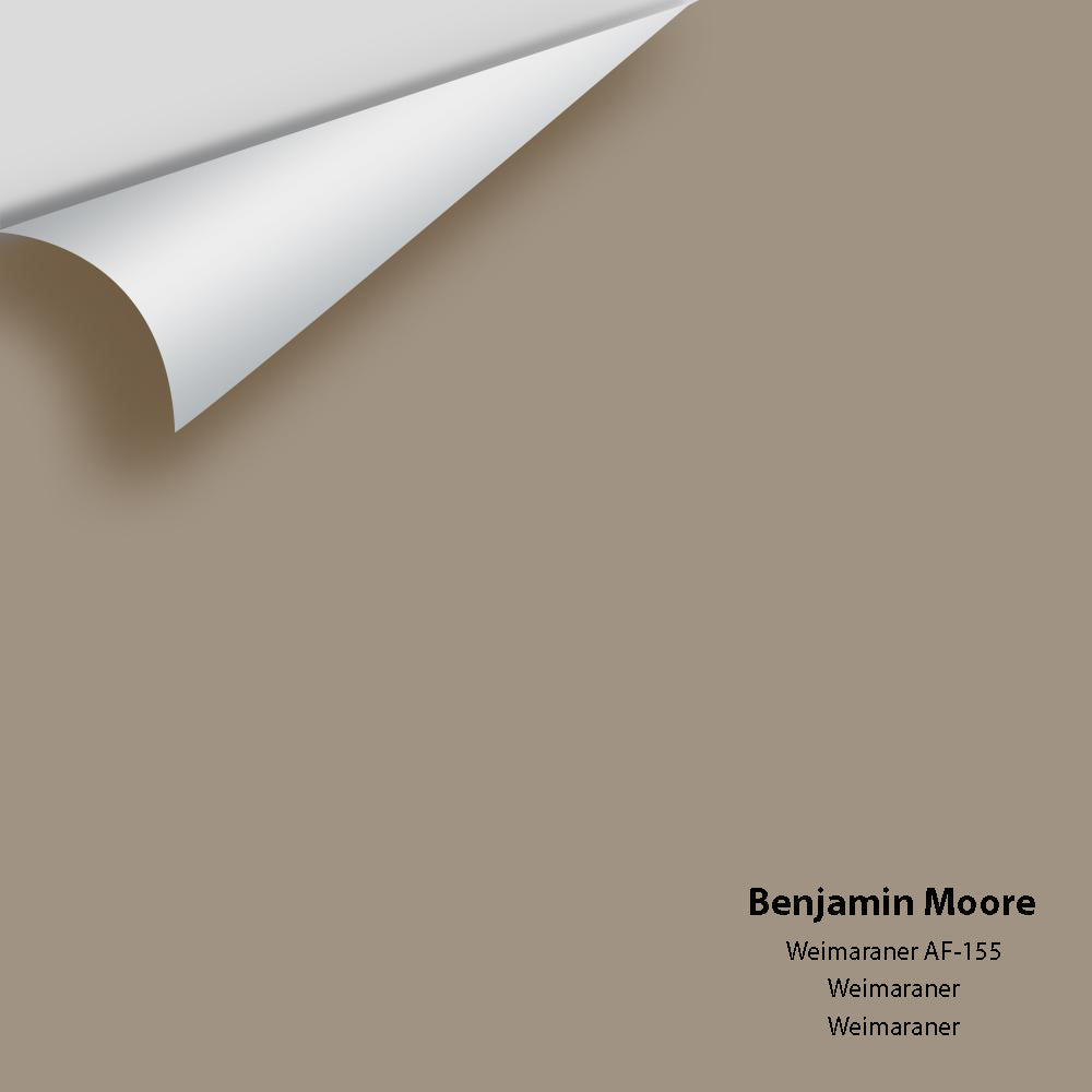 Benjamin Moore - Weimaraner AF-155 Colour Sample – Centerpoint Paint ...