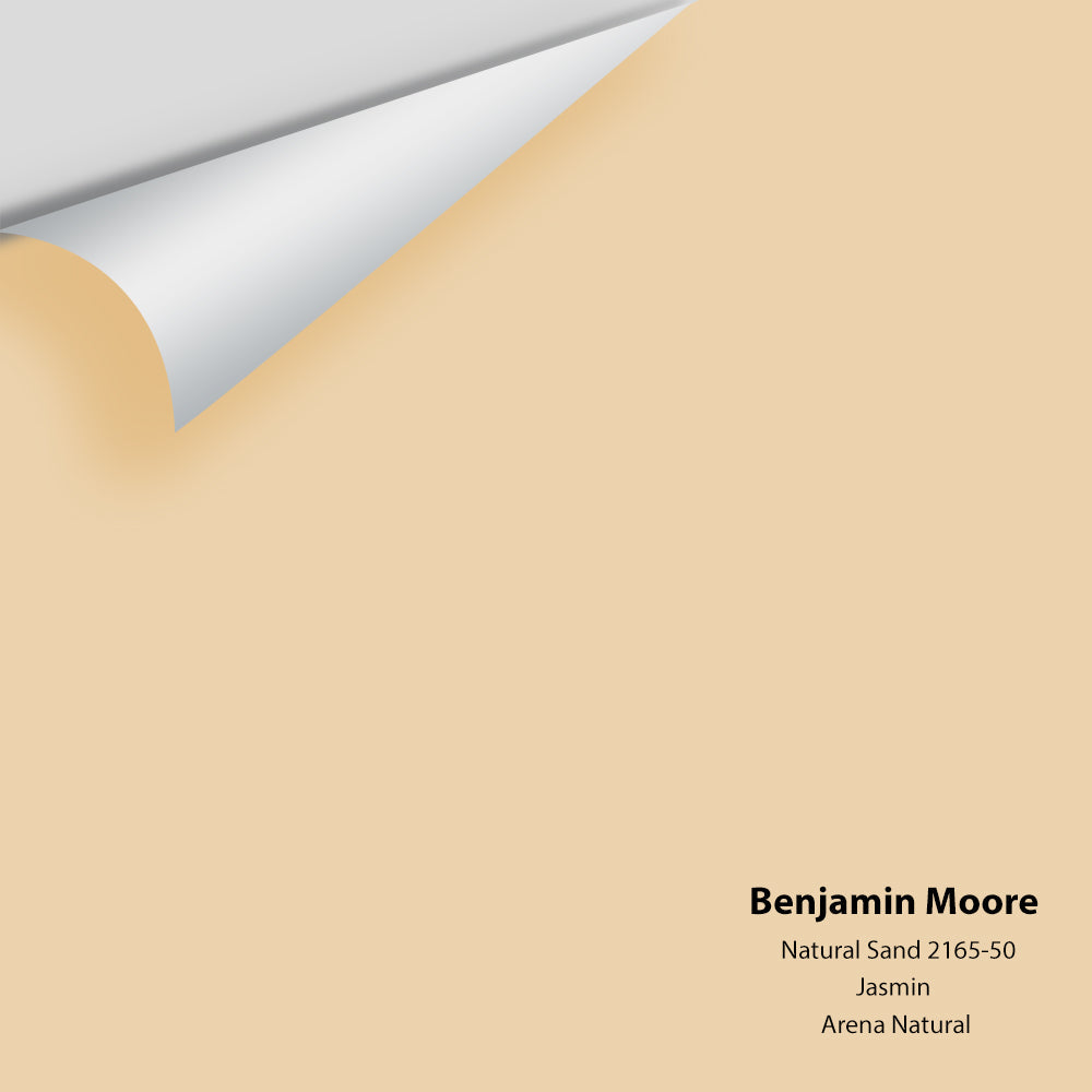 Big Paint Chip - Natural Sand 2165-50 – Centerpoint Paint and Decorating