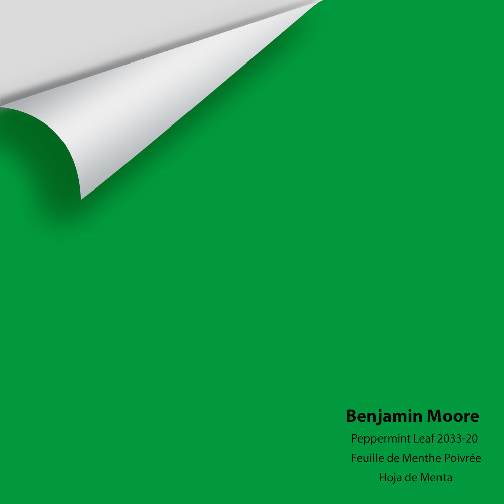 Big Paint Chip - Peppermint Leaf 2033-20 Colour Sample – Centerpoint ...